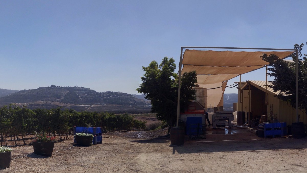 Gvaot Winery’s latest releases | Wine Musings Blog